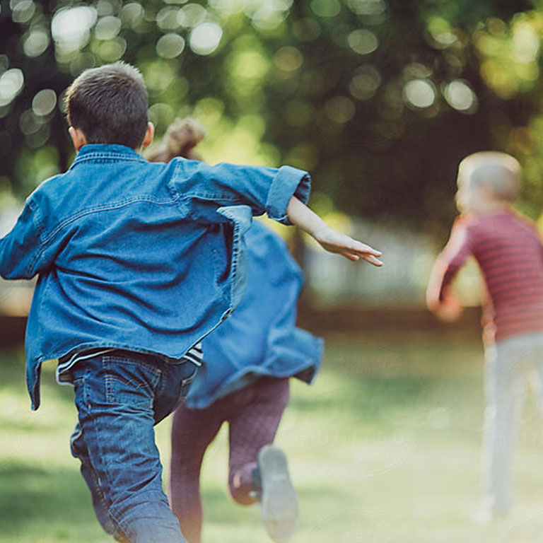 Class Memory Tree for Curious – Metropolitan Montessori Schools ...